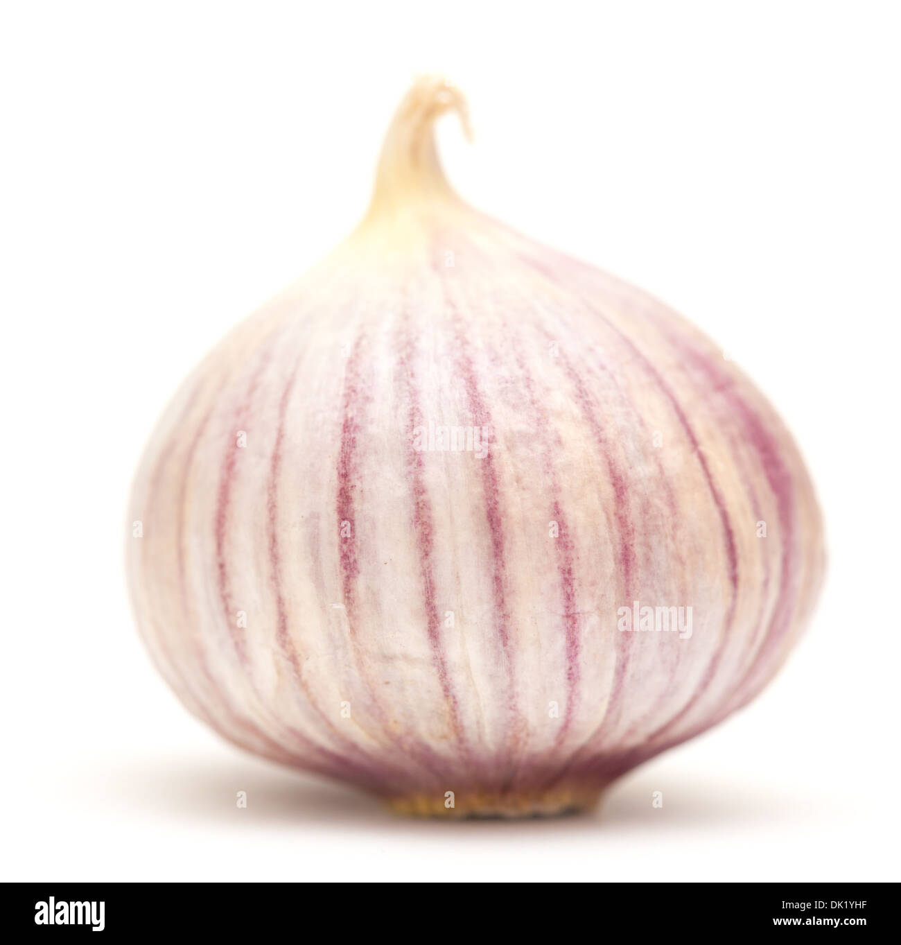 Single clove garlic isolated on white background Stock Photo - Alamy