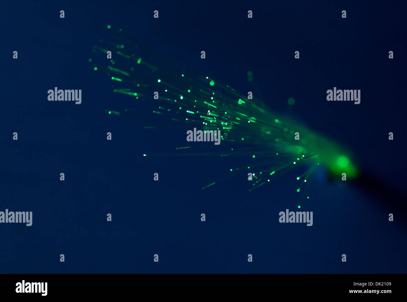 Nbn cables hi-res stock photography and images - Alamy