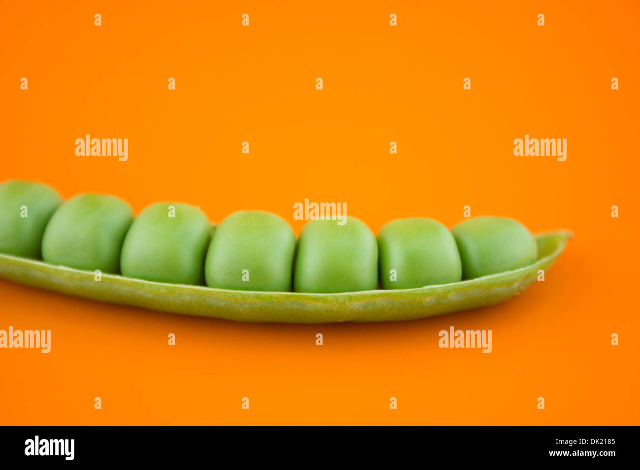 fresh pea fruit on orange background Stock Photo - Alamy
