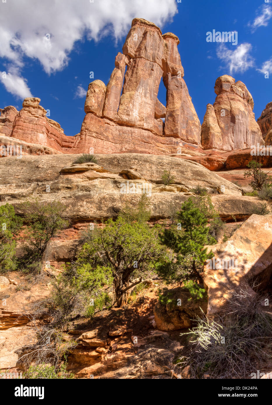 Canyonlands national park needles hi-res stock photography and images ...