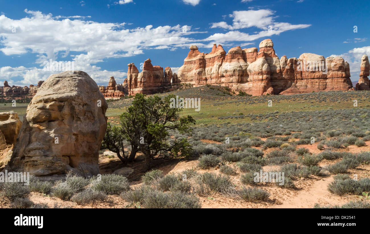 Unique rock spires in Chesler Park in the remote Needles District of ...