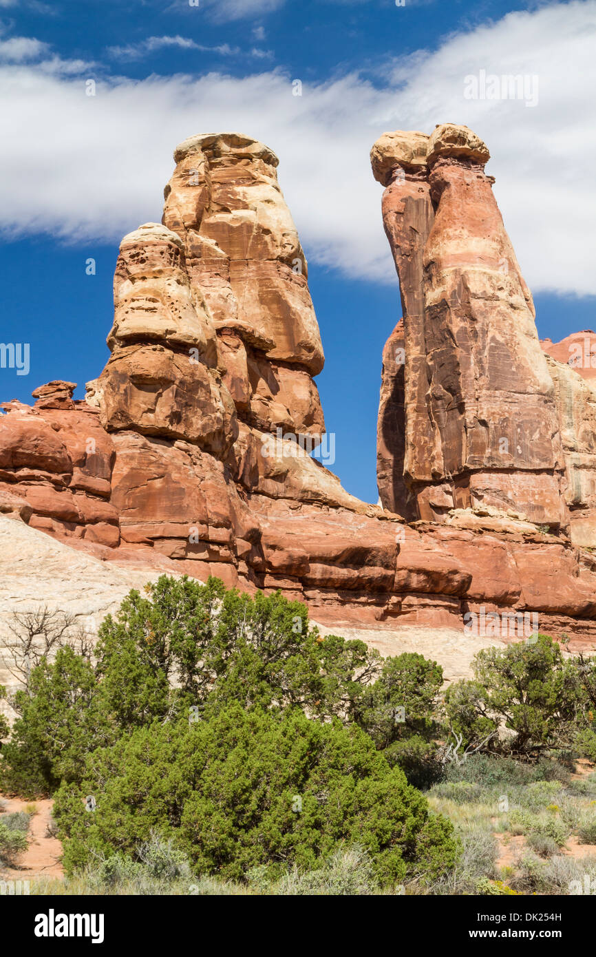 Unique rock spires in Chesler Park in the remote Needles District of ...