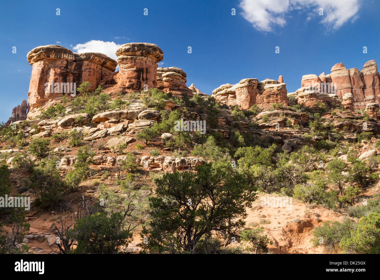 Huge mushroom shaped rock formations in Elephant Canyon in the remote ...