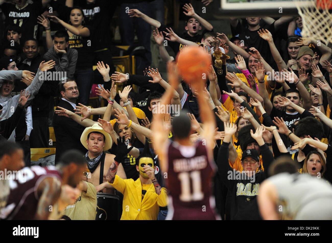 Colorado buffaloes fans hi-res stock photography and images - Alamy