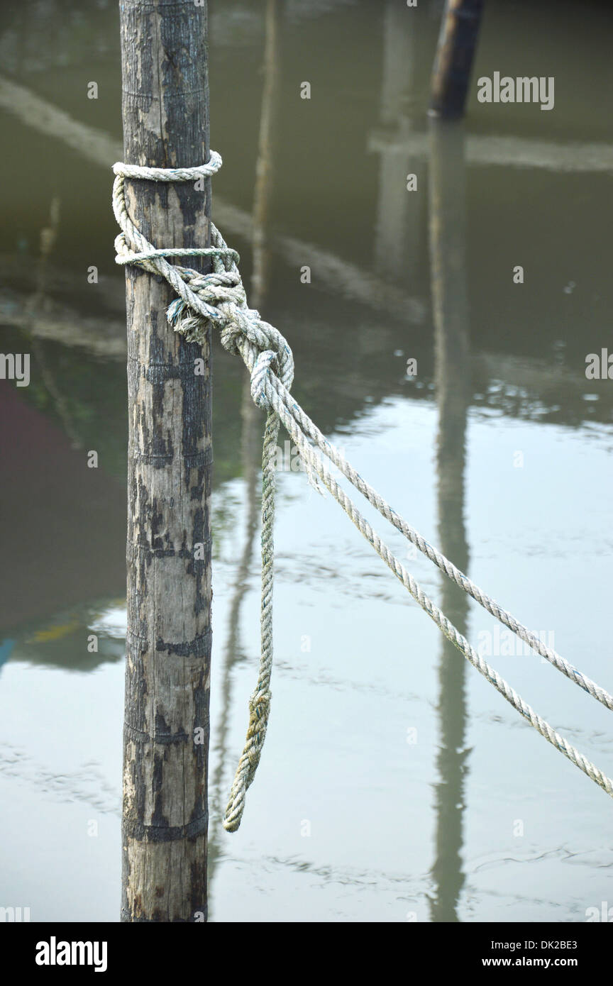 Bound to the stake hi-res stock photography and images - Alamy