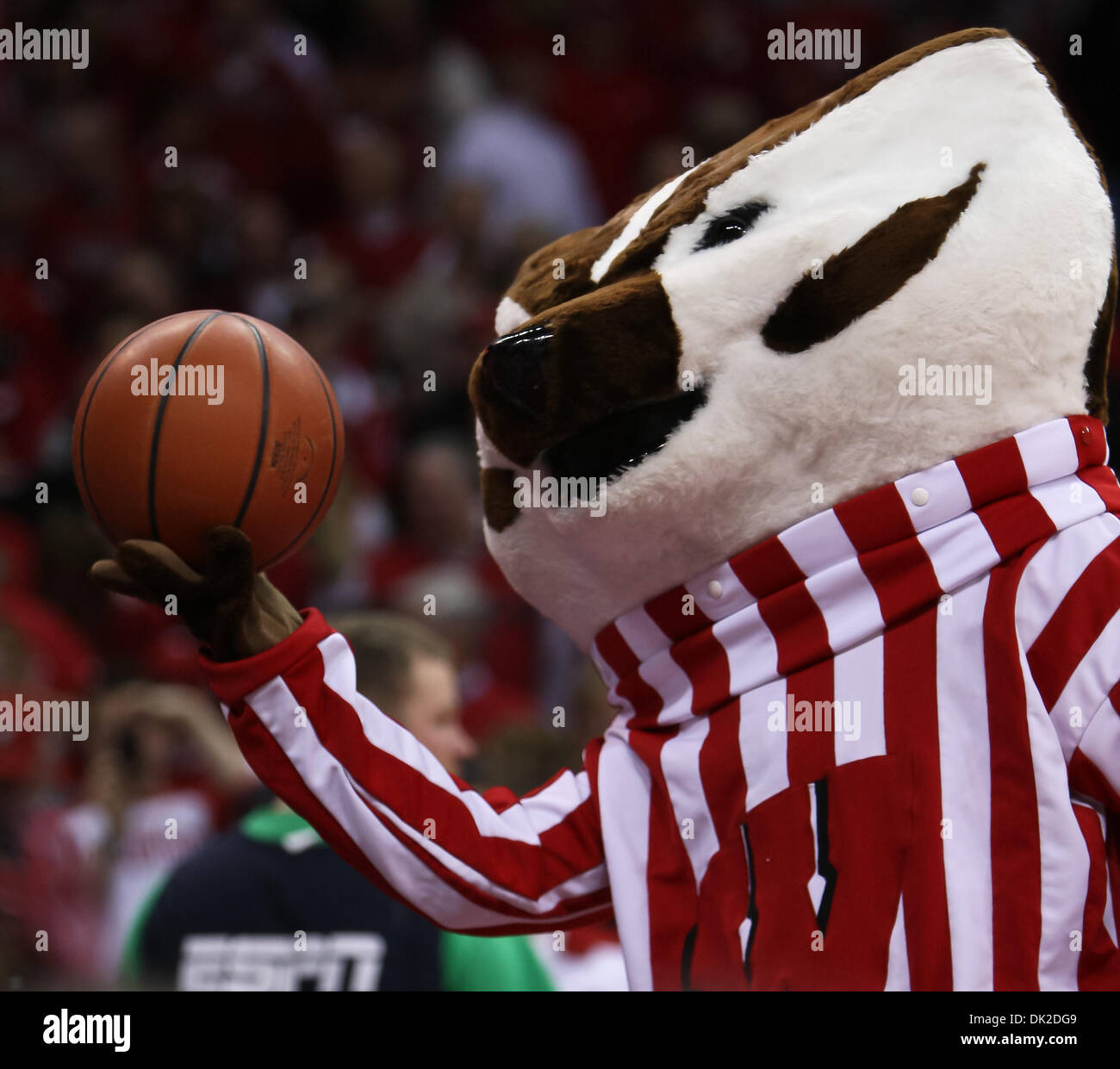 Bucky badger hi-res stock photography and images - Alamy