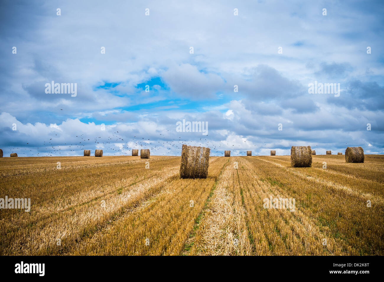 Sheaves hi-res stock photography and images - Alamy