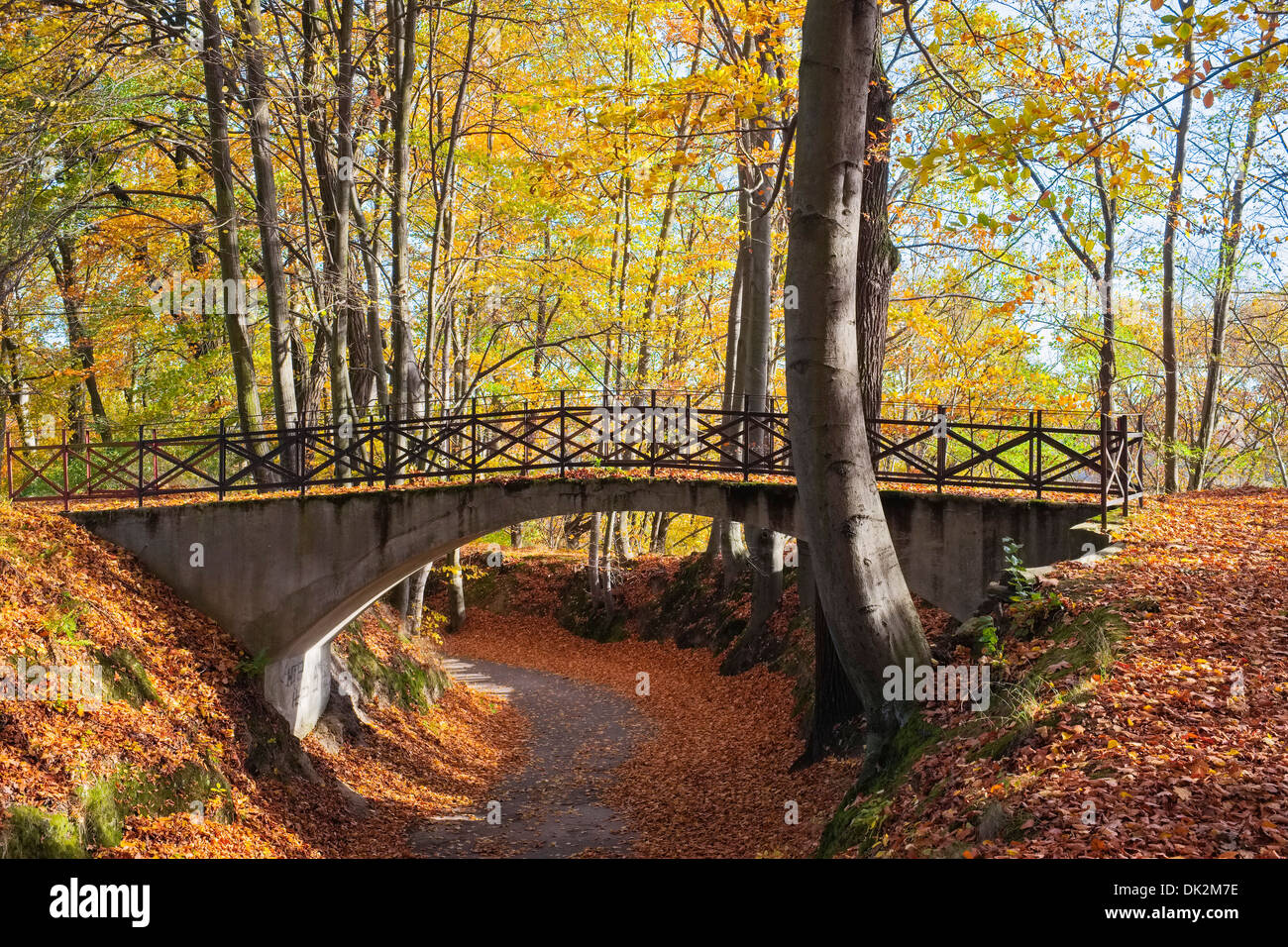Bridge in Bergpark, Badepark, Bad Muskau, Saxonia, Germany Stock Photo ...