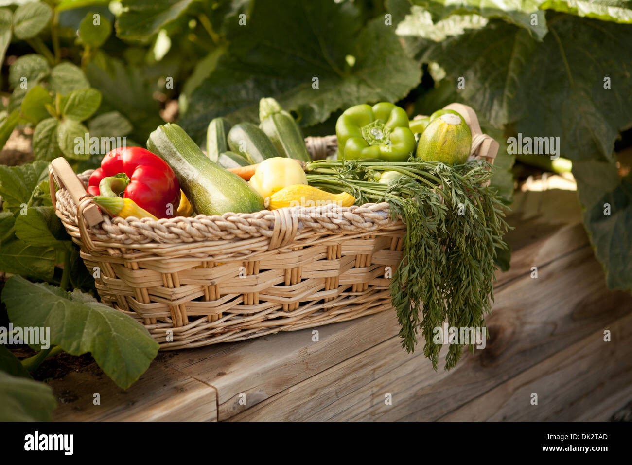 Vegetable basket hi-res stock photography and images - Alamy