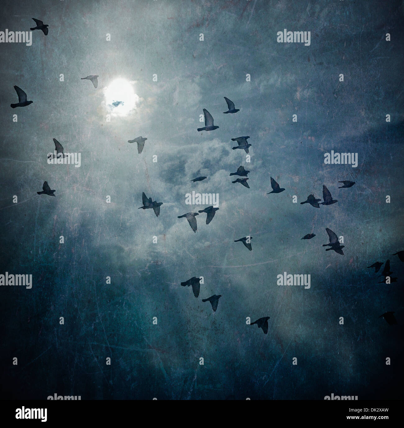 Flock of pigeons flying Stock Photo - Alamy