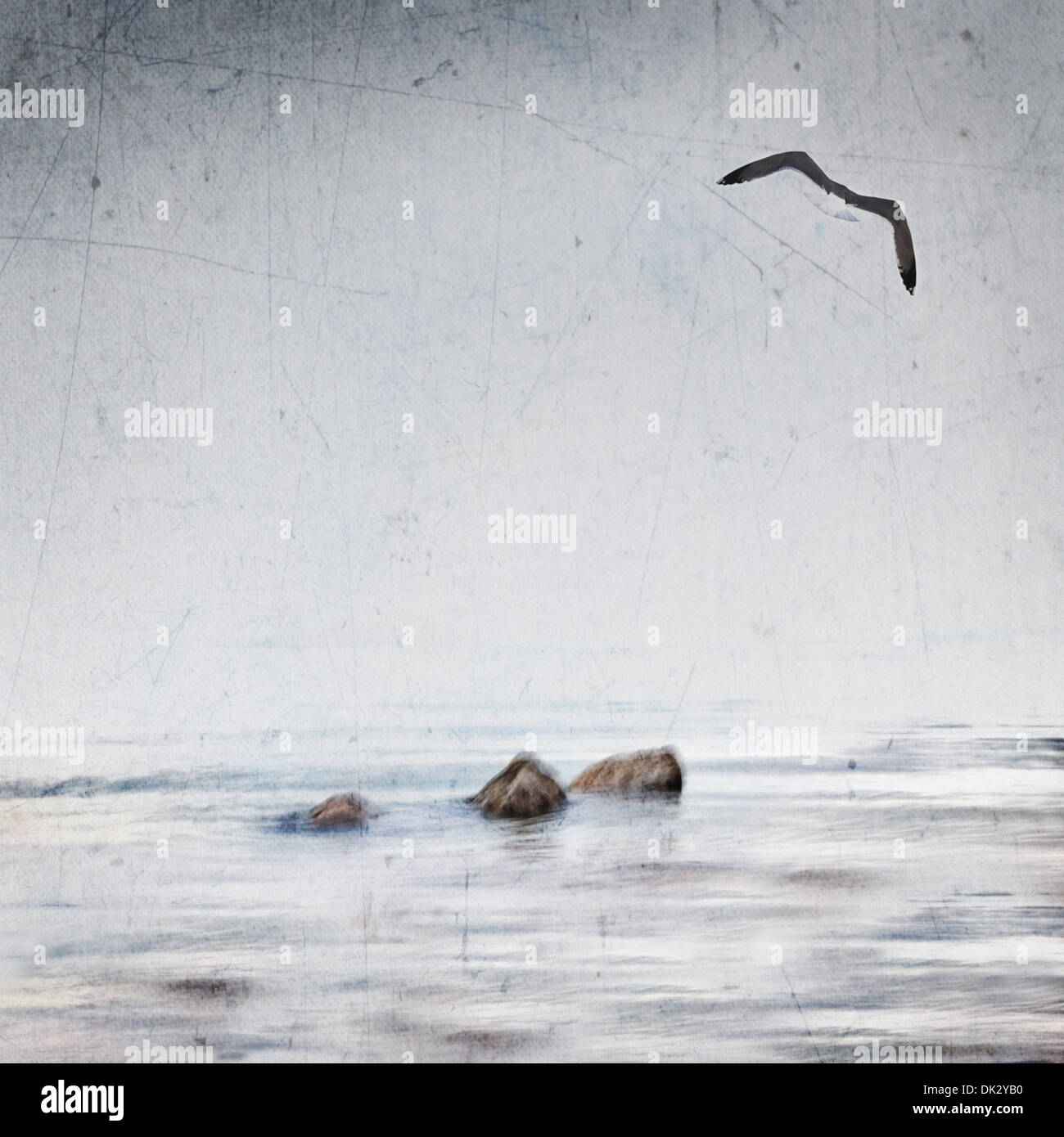 Seagull flying over ocean Stock Photo - Alamy