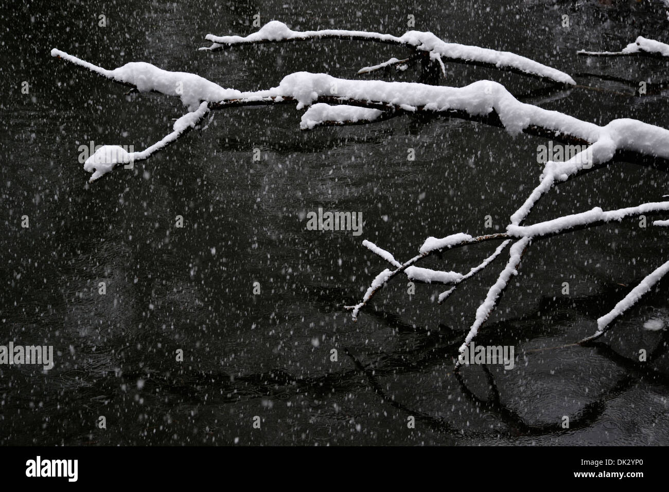 Gently falling snow hi-res stock photography and images - Alamy