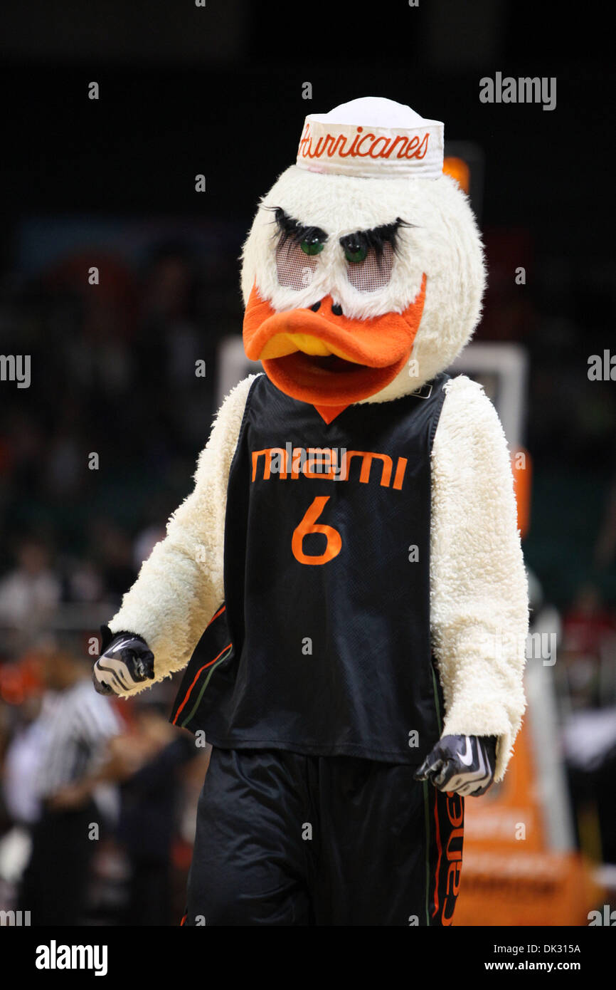 Miami Hurricanes Bird Logo