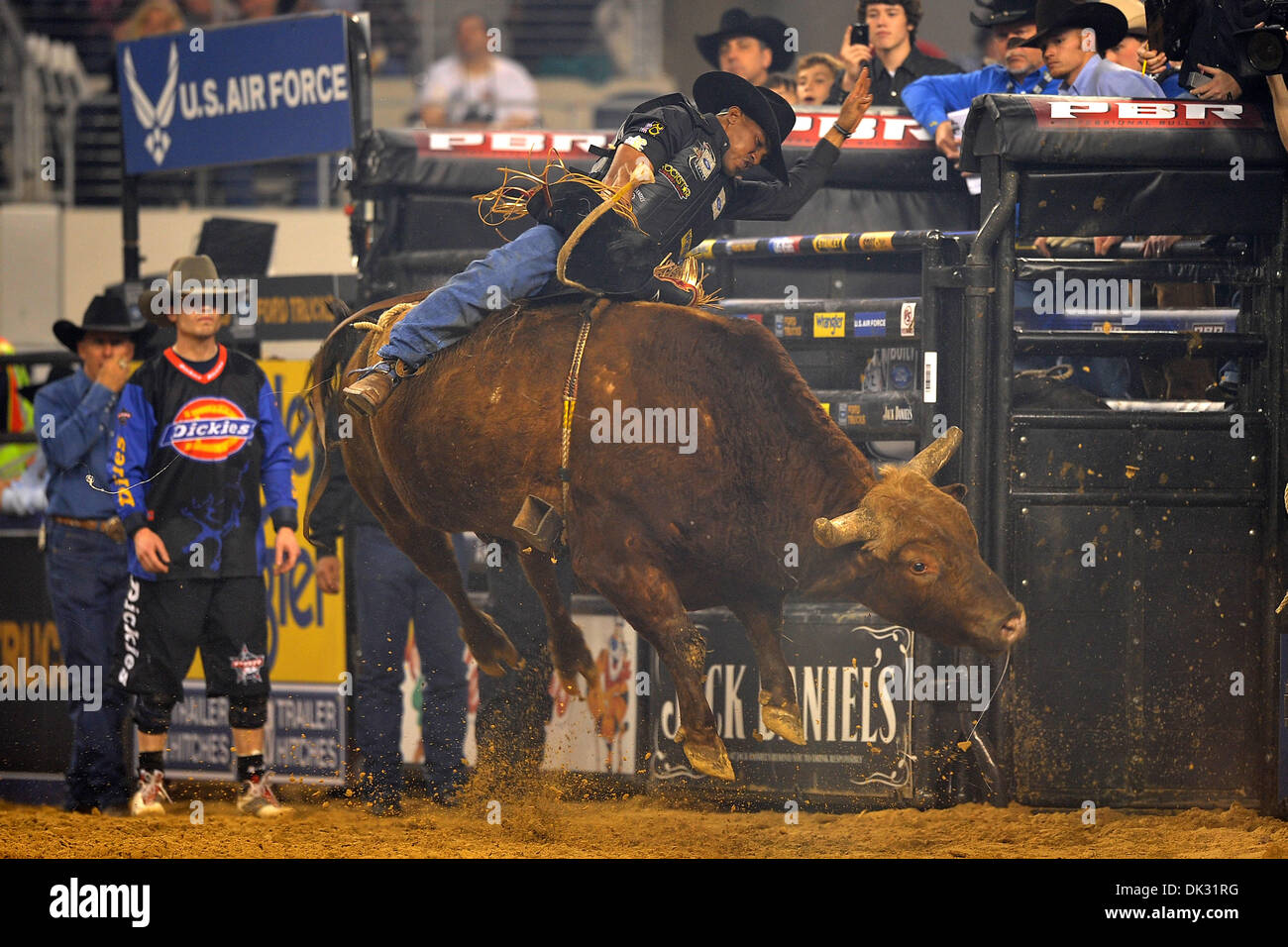 Pbr Bull Voodoo Child