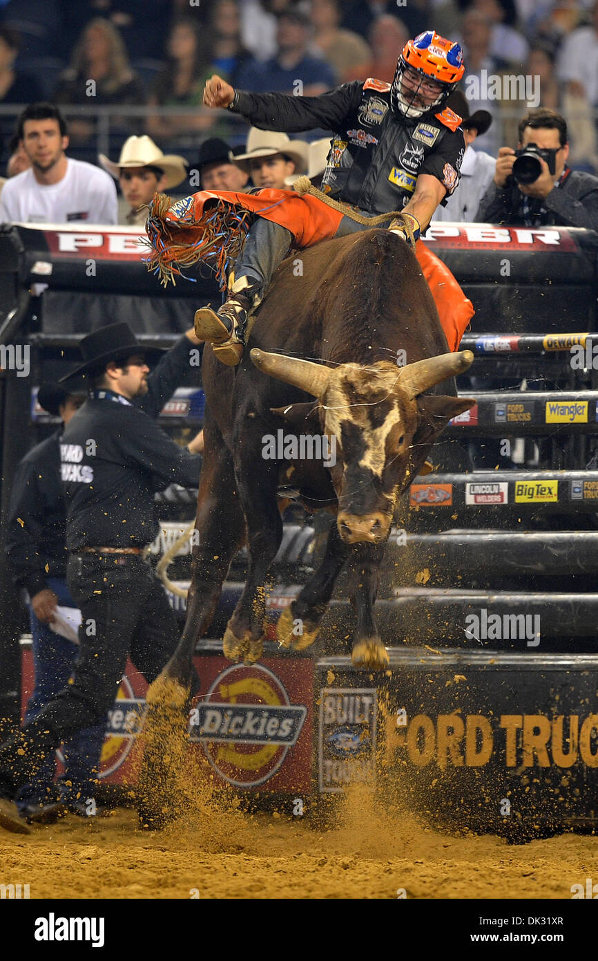 Bushwacker Bull Wrecks