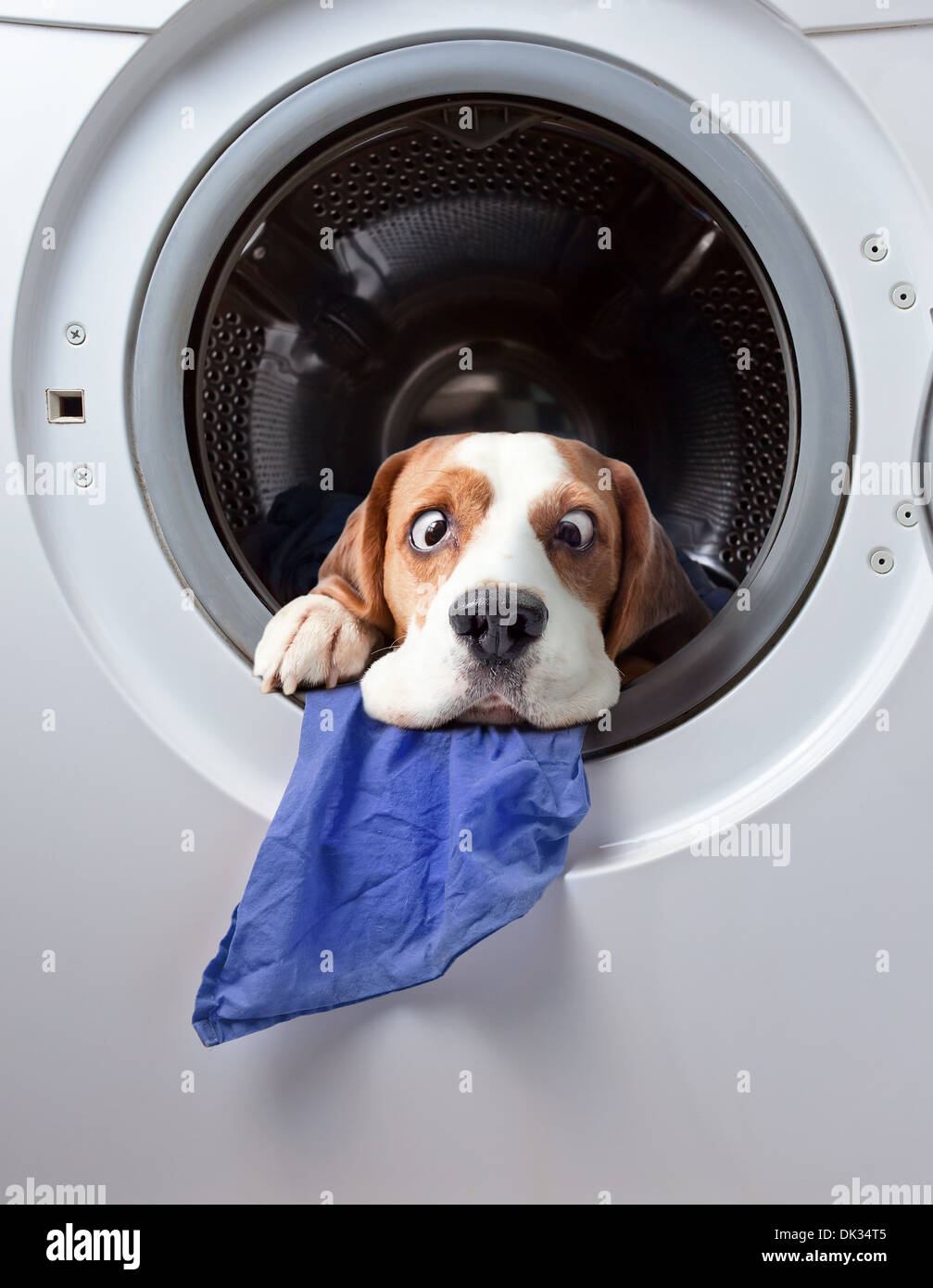 Funny washing machine hi-res stock photography and images - Alamy