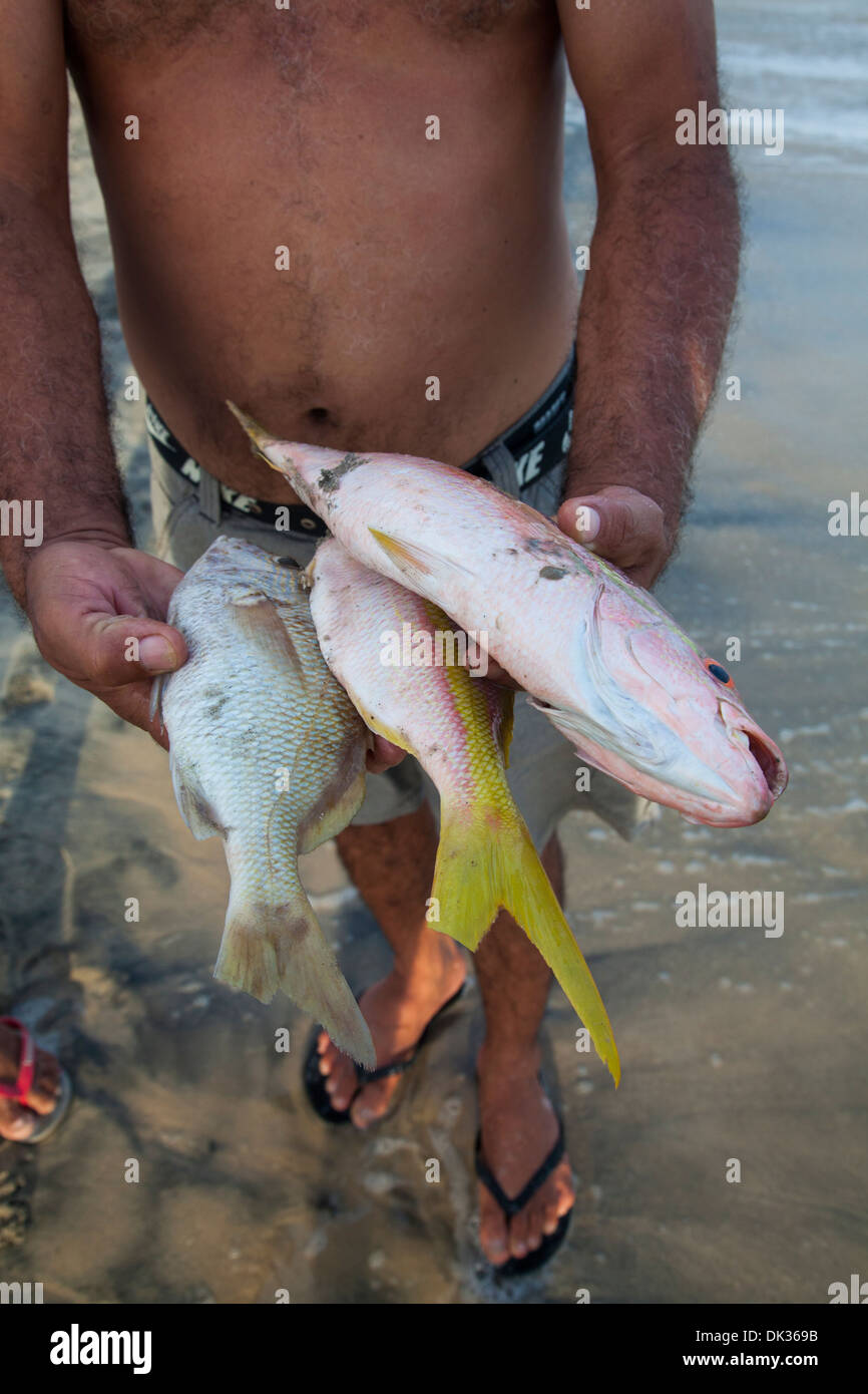 Brazil fish market hi-res stock photography and images - Alamy
