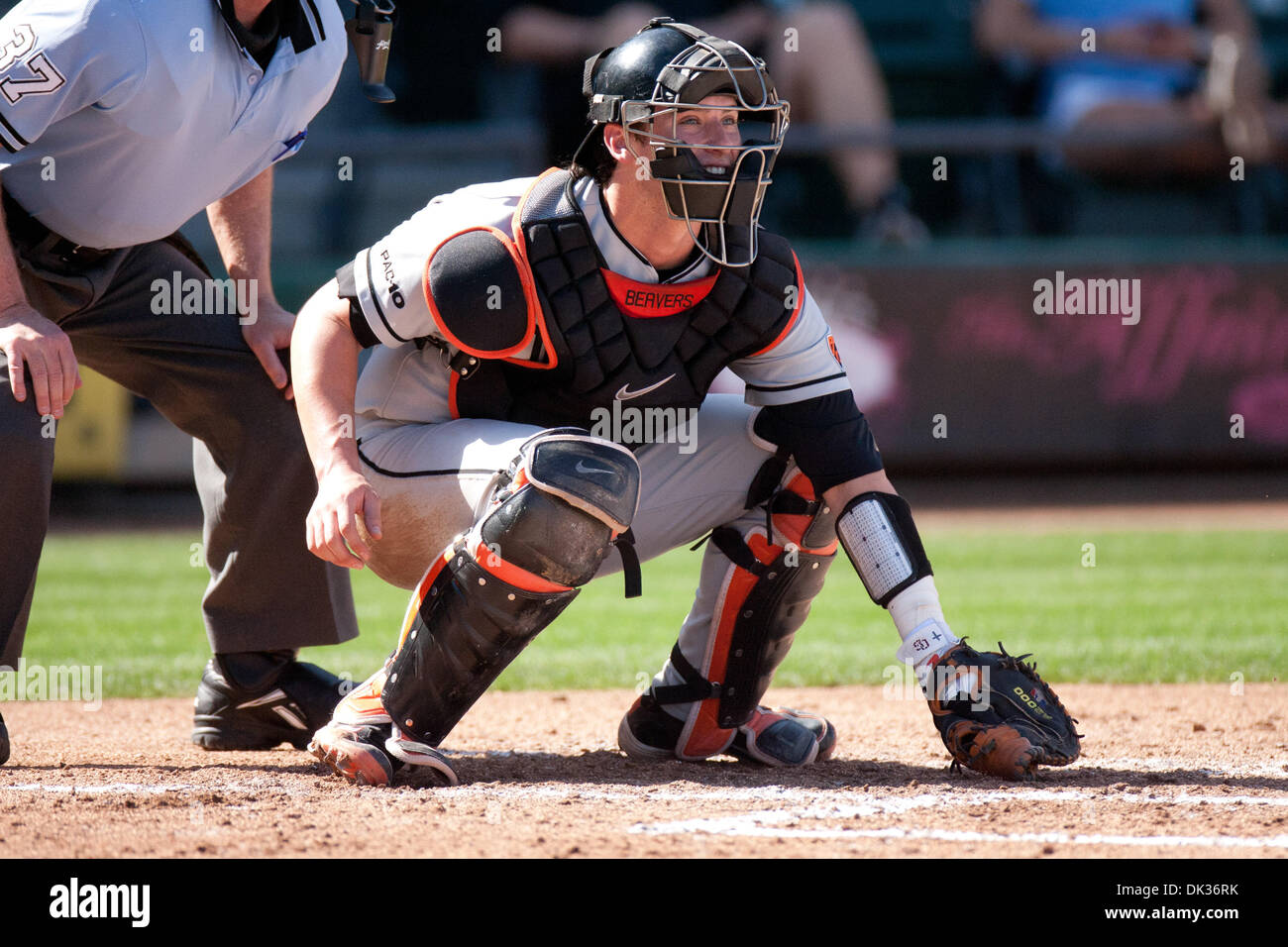 Susac hi-res stock photography and images - Alamy