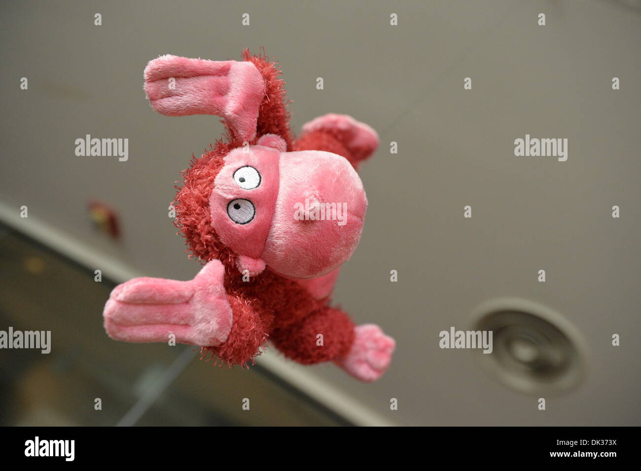 Gorilla gorillas flying ape apes hi-res stock photography and images ...