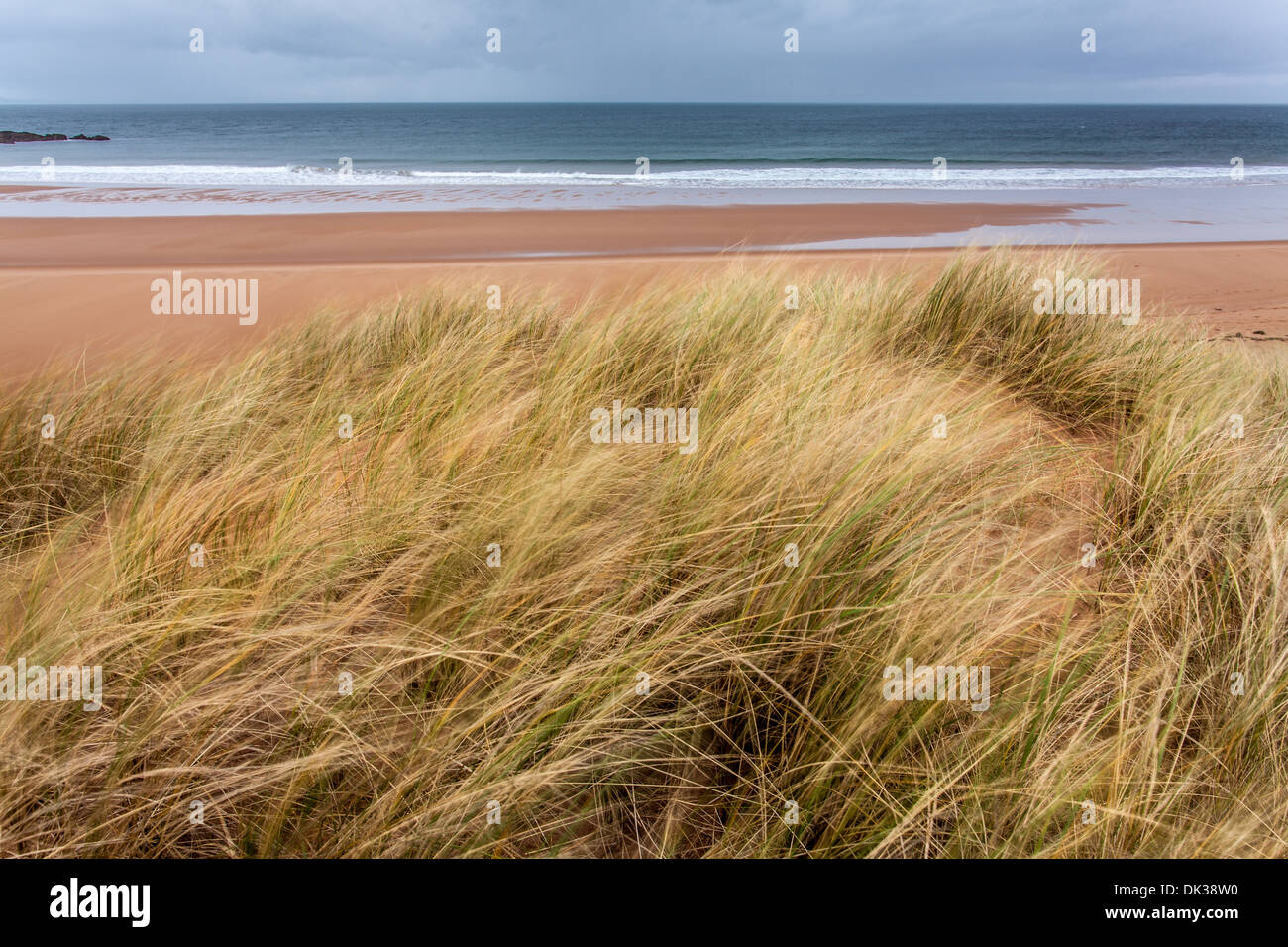 Red point hi-res stock photography and images - Alamy