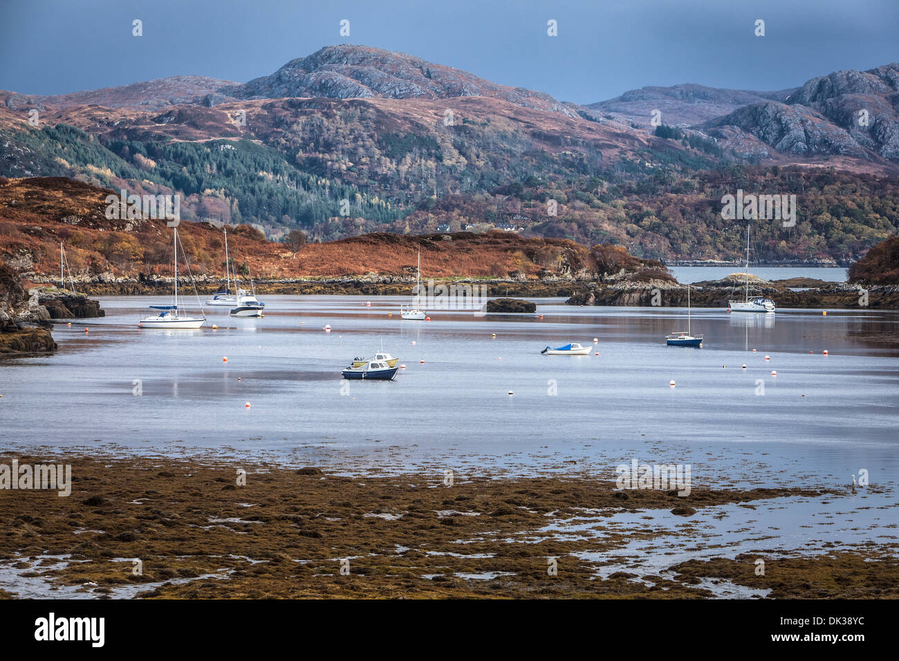 Badachro hi-res stock photography and images - Alamy