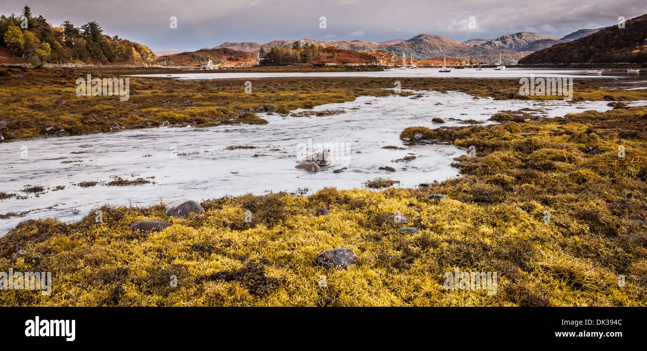 Badachro hi-res stock photography and images - Alamy