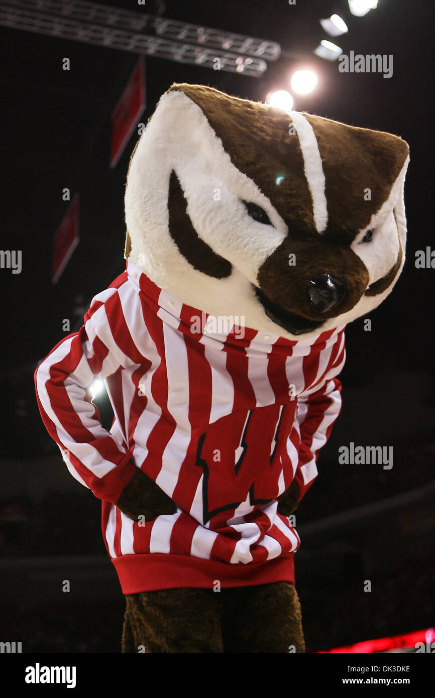 Bucky badger hi-res stock photography and images - Alamy