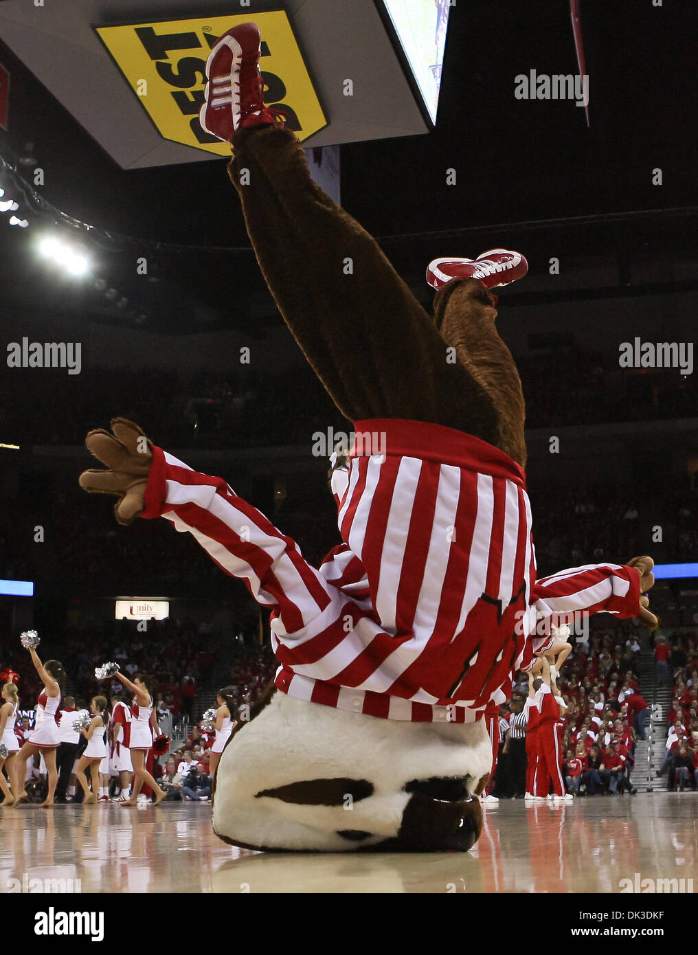 Bucky badger hi-res stock photography and images - Alamy