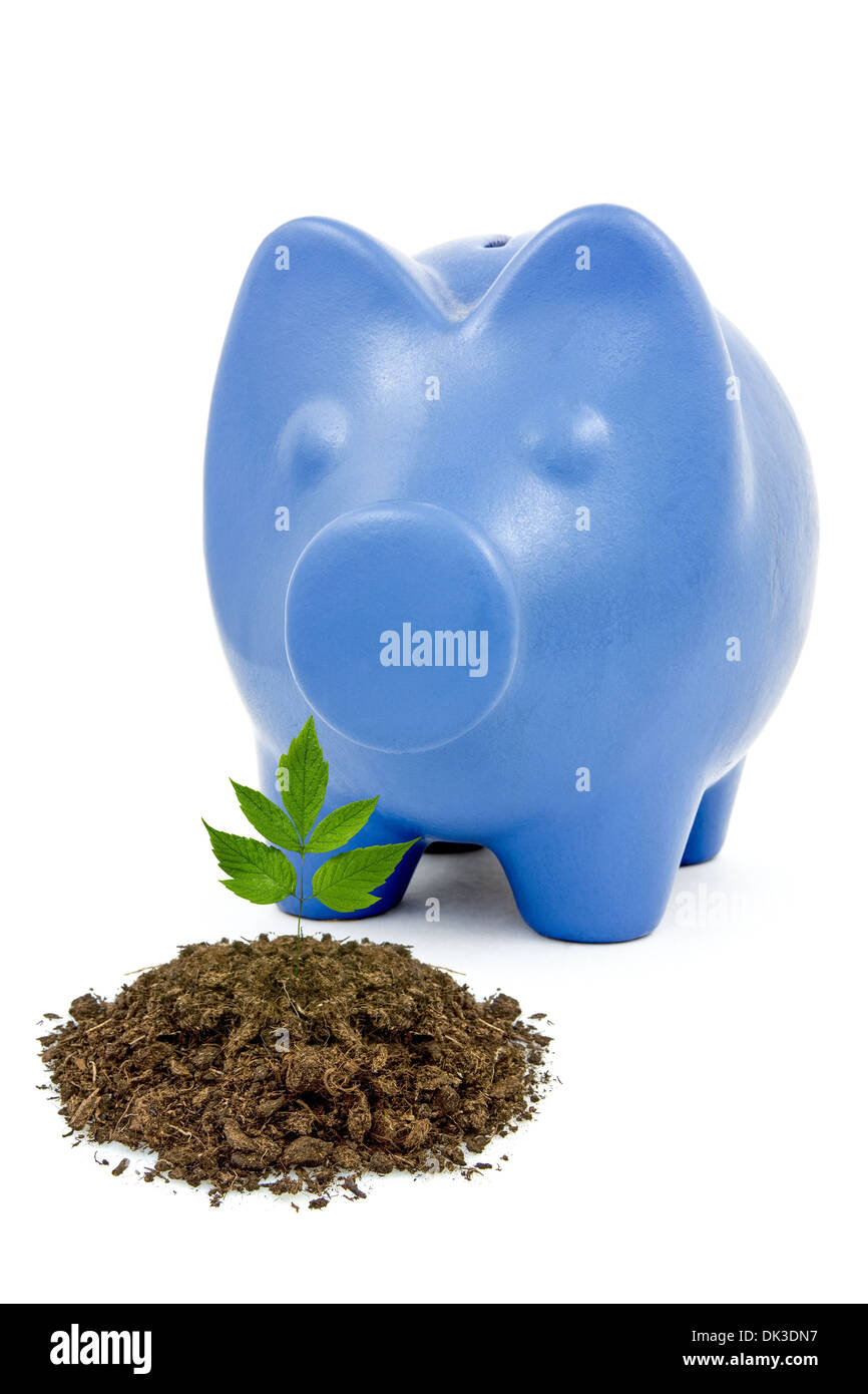 Piggy bank and tree growing from the soil. Isolated on white background ...