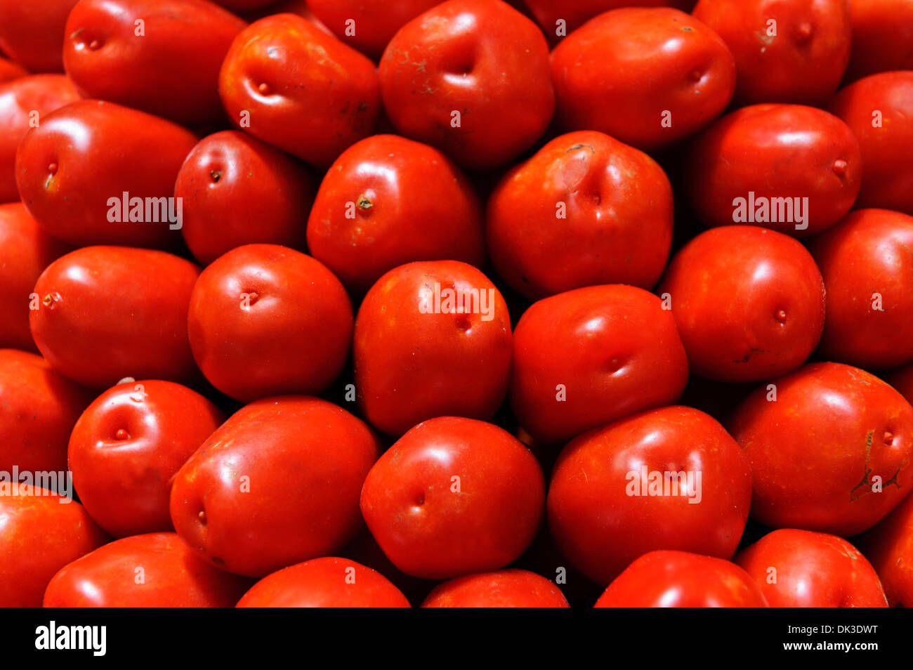 Fresh ripe tomatoes on display for sale in Port Louis market, Mauritius ...