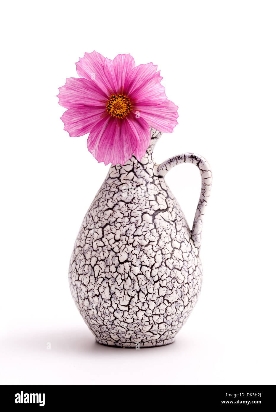 Cosmos growth Cut Out Stock Images & Pictures - Alamy