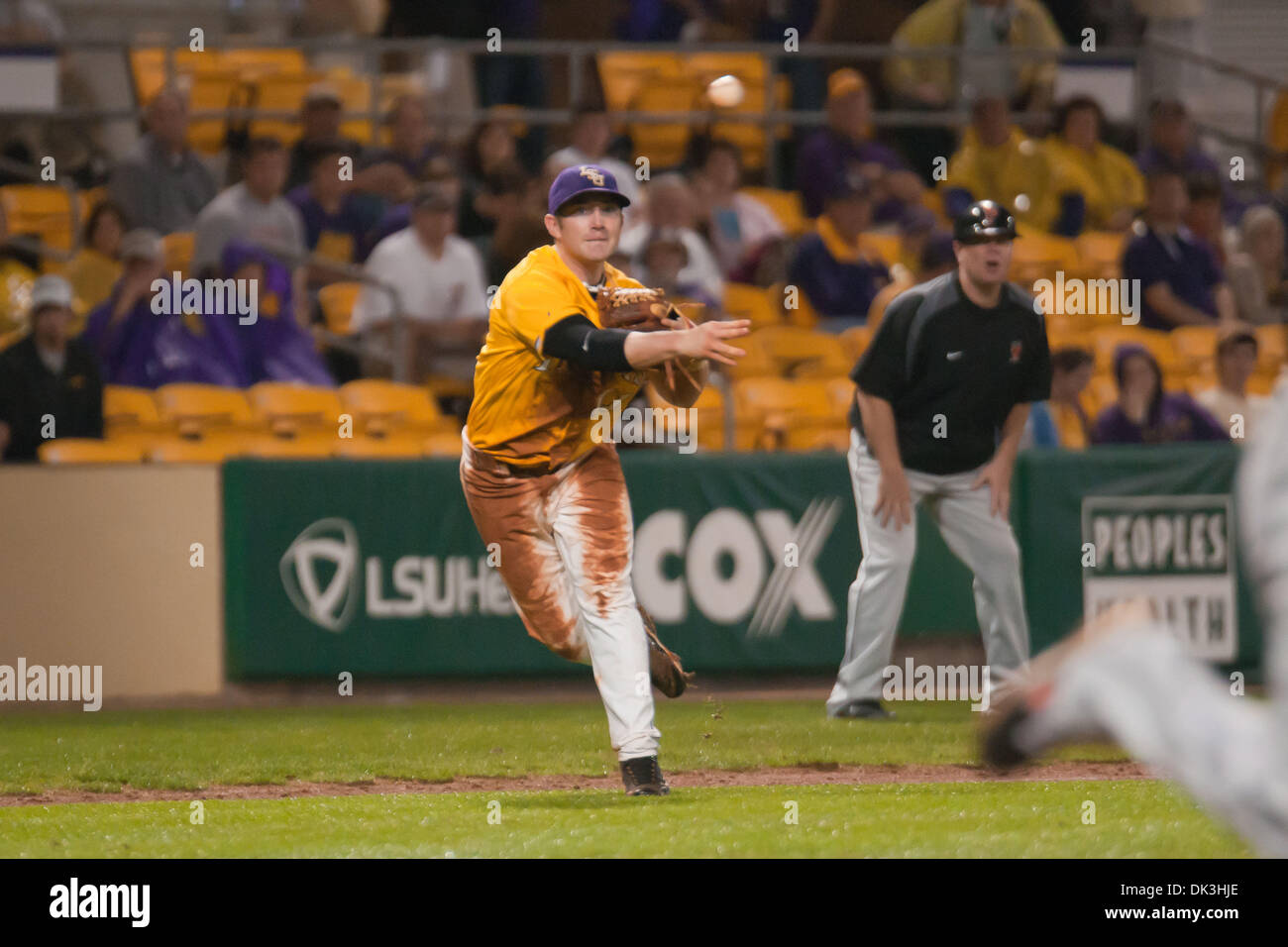 Tyler tiger hi-res stock photography and images - Alamy