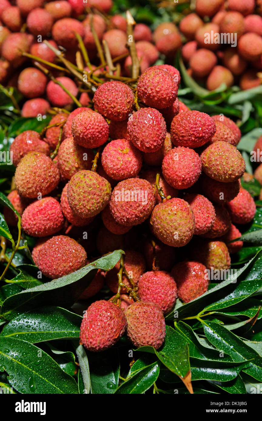Tropical fruit - lychee, Mauritius Stock Photo - Alamy