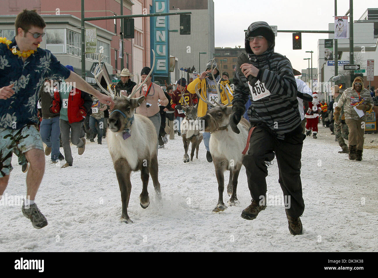 Mar 6, 2011 - Anchorage, Alaska, U.S. - People run with reindeer down ...