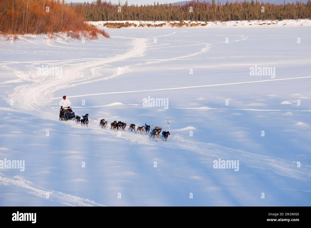 Mar 08, 2011 - McGrath, Alaska, U.S. - Iditarod Dogsled Race 2011 ...