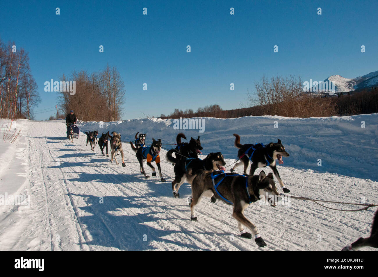 Team approach hi-res stock photography and images - Alamy