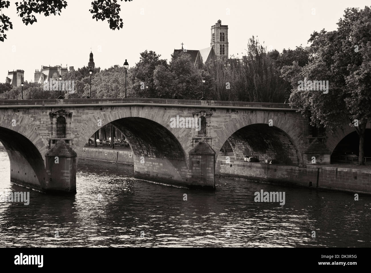 Pont Neuf Bridge in Paris - Pont Neuf Bridge - The oldest standing ...