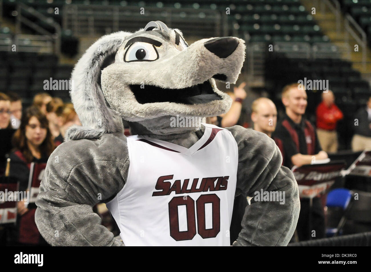 Southern illinois salukis hi-res stock photography and images - Alamy
