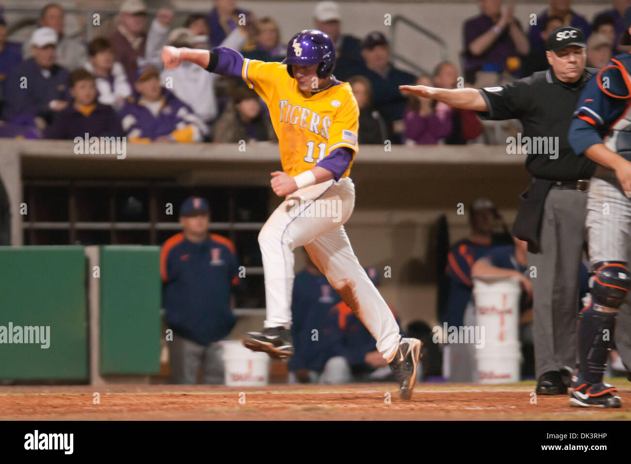 Tyler tiger hi-res stock photography and images - Alamy