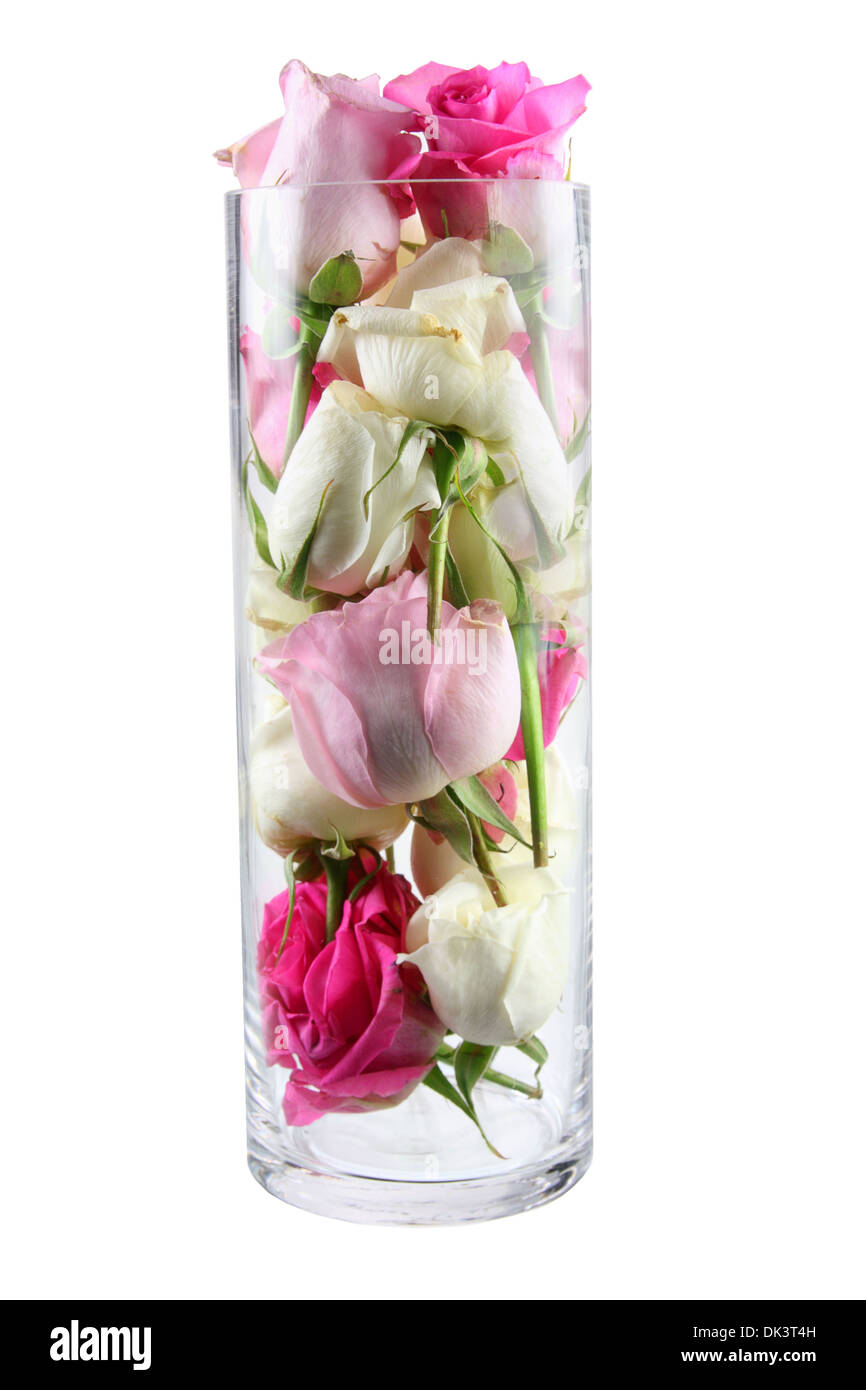 Roses in Vase Stock Photo - Alamy