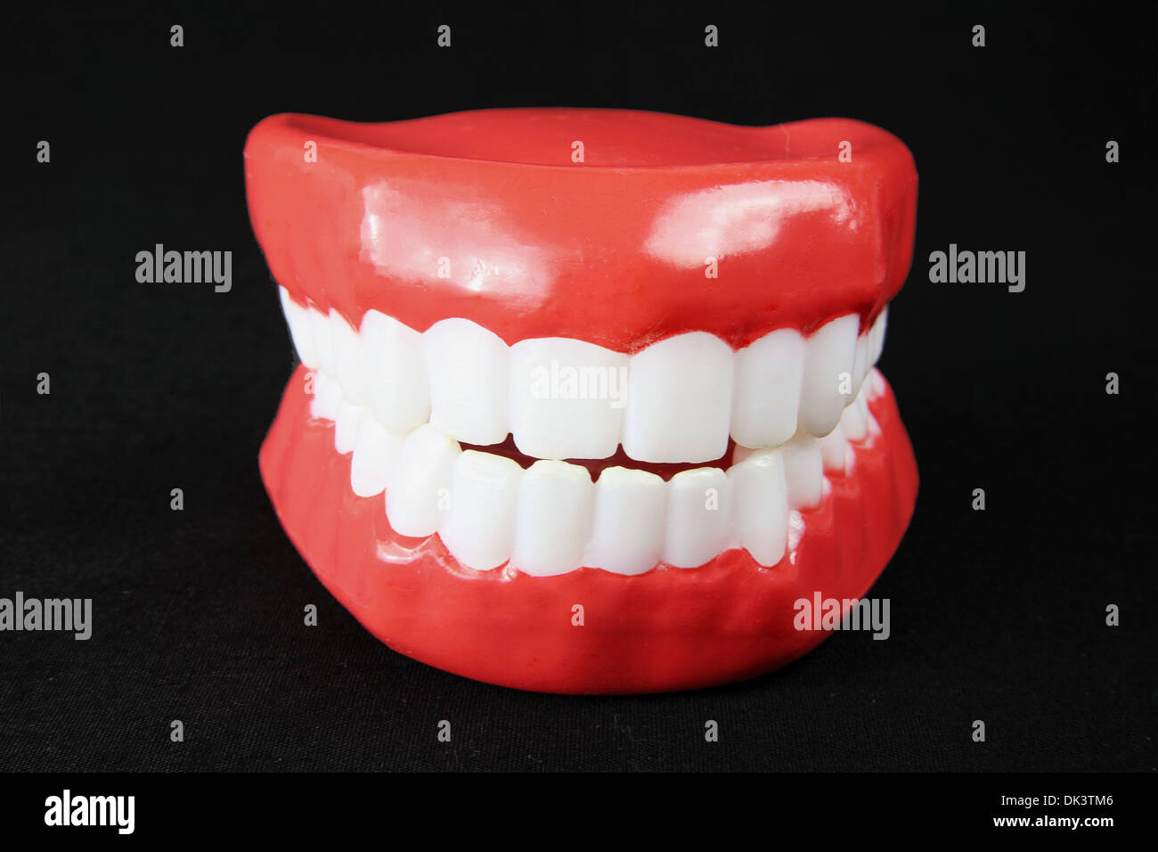 Denture model hi-res stock photography and images - Alamy