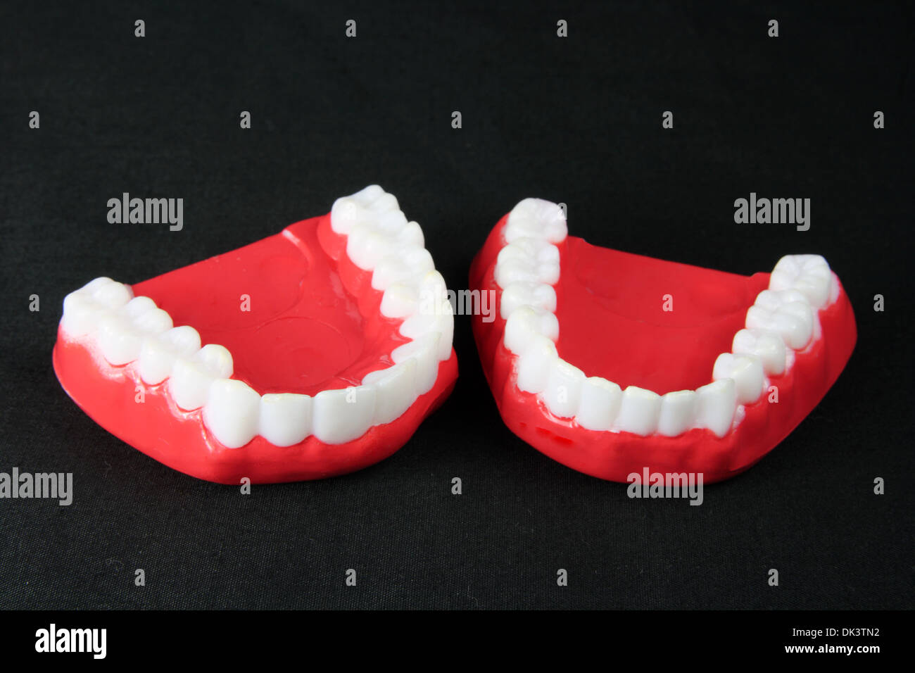 Denture model hi-res stock photography and images - Alamy