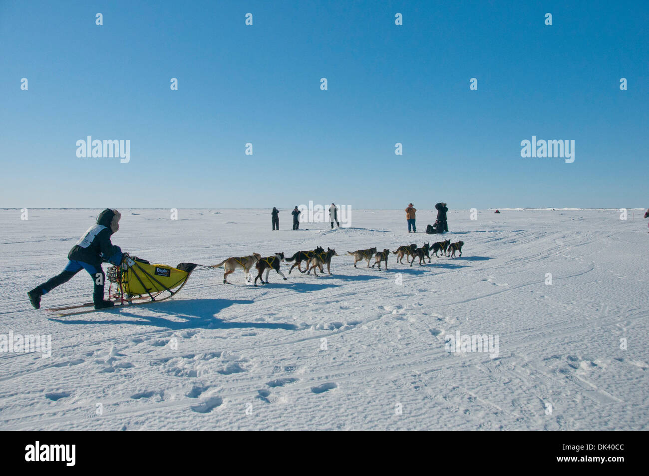 Mar 15, 2011 - Nome, Alaska, USA - HANS GOTT along sea ice just before ...