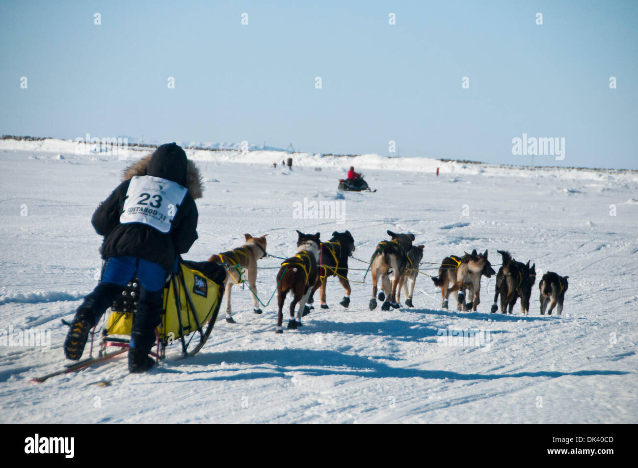 Mar 15, 2011 - Nome, Alaska, USA - HANS GOTT along sea ice just before ...