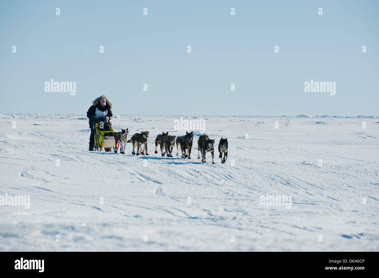 Mar 15, 2011 - Nome, Alaska, USA - HANS GOTT along sea ice just before ...