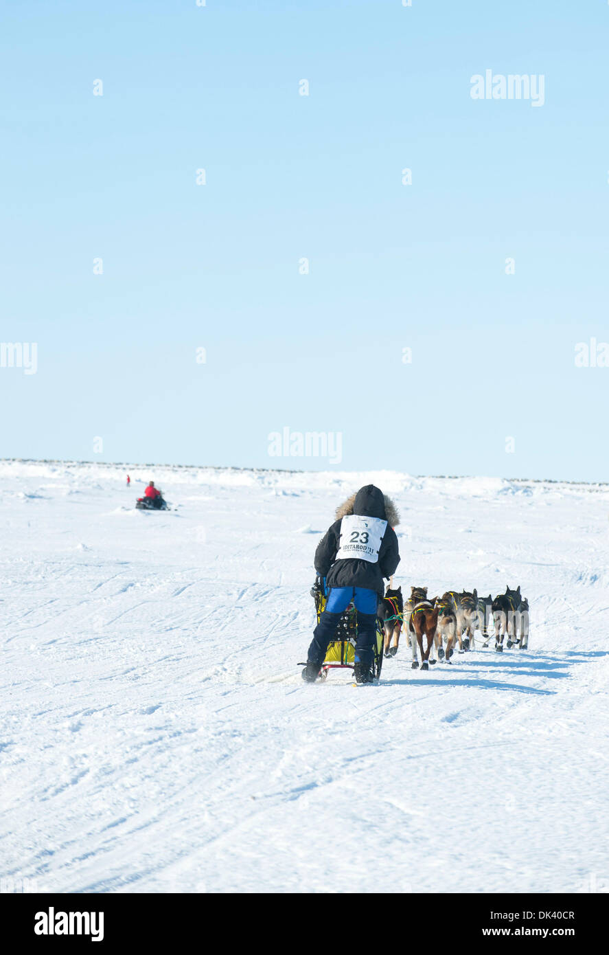 Mar 15, 2011 - Nome, Alaska, USA - HANS GOTT along sea ice just before ...