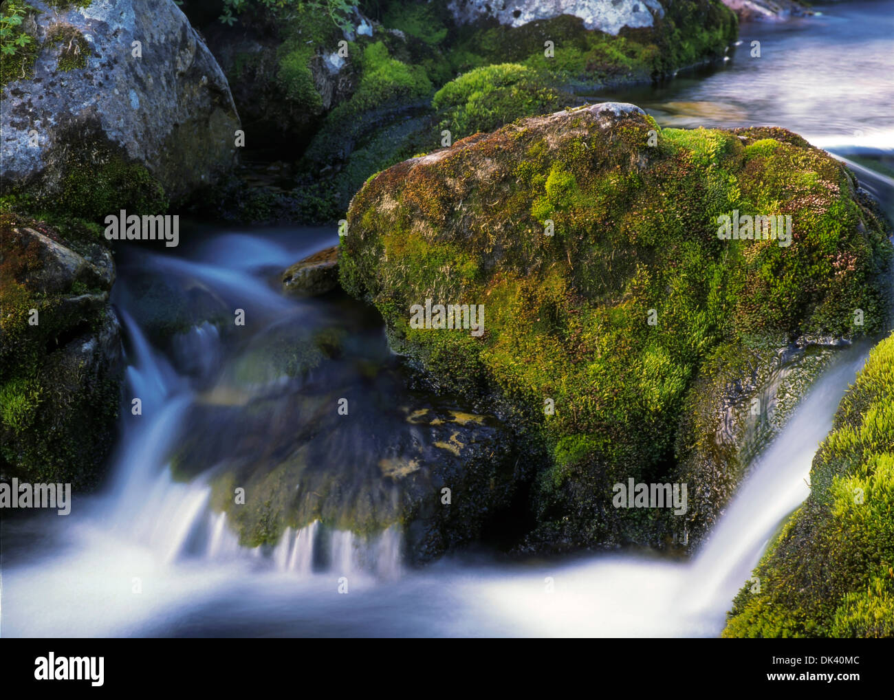 Nature landscape of mountain stream Stock Photo - Alamy