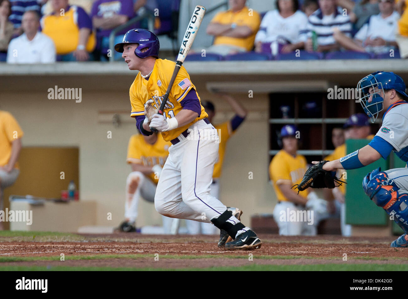 Tyler tiger hi-res stock photography and images - Alamy