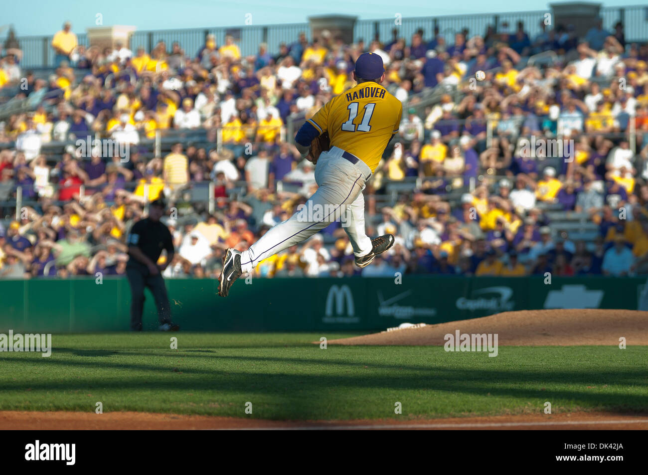 Tyler Tiger High Resolution Stock Photography and Images - Alamy