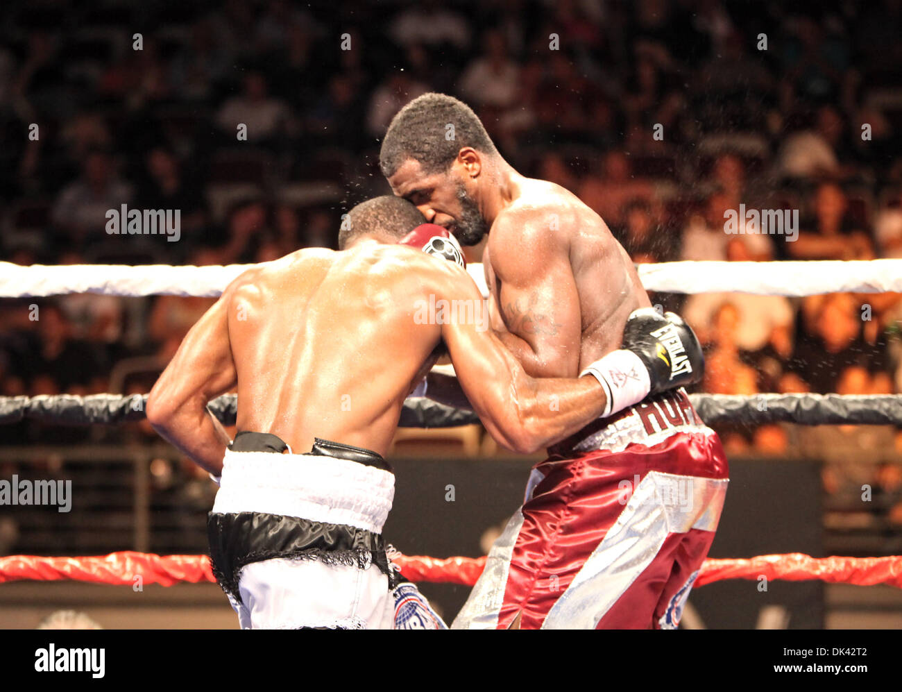 Brad solomon hi-res stock photography and images - Alamy